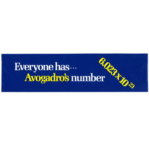 Everyone Has Avogrados Number Bumper Sticker | ACS Store